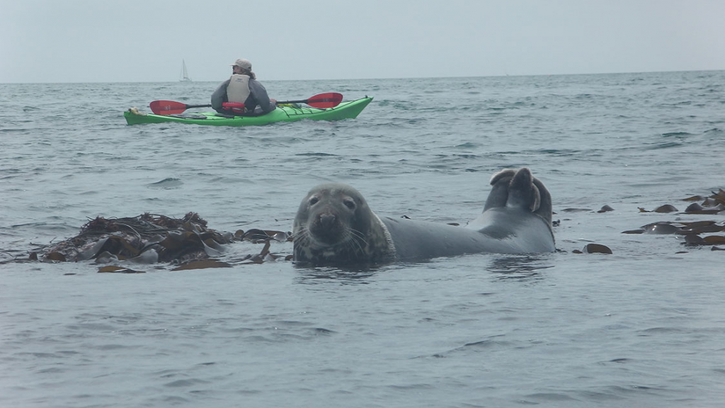 South Devon Sea Kayak Meet 2014 Day One | Mayberry Kayaking